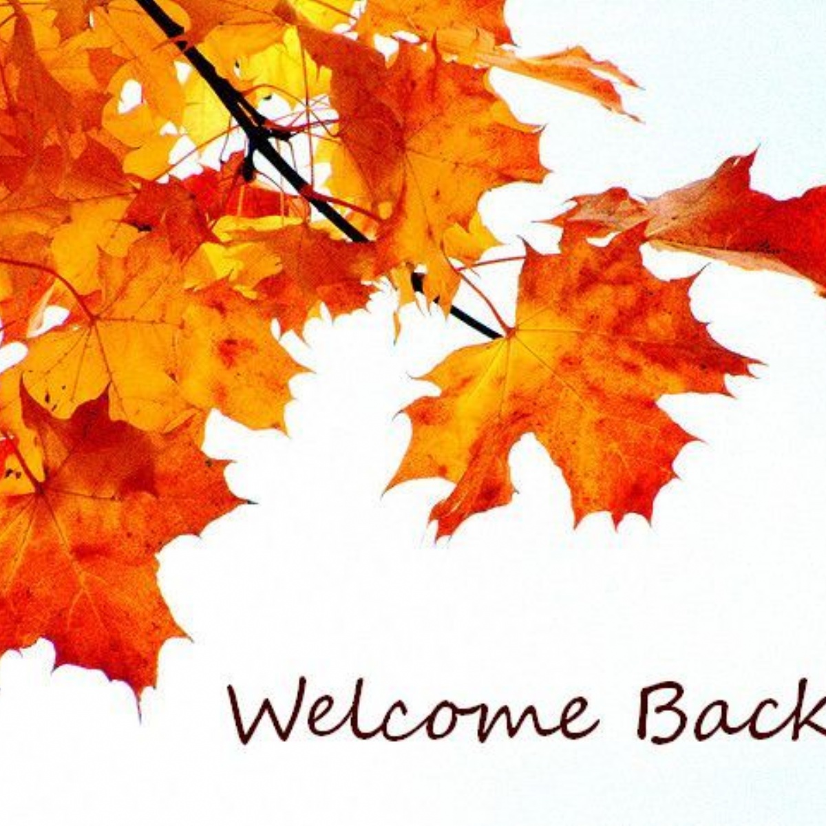 Monmouth Comprehensive School - Welcome Back